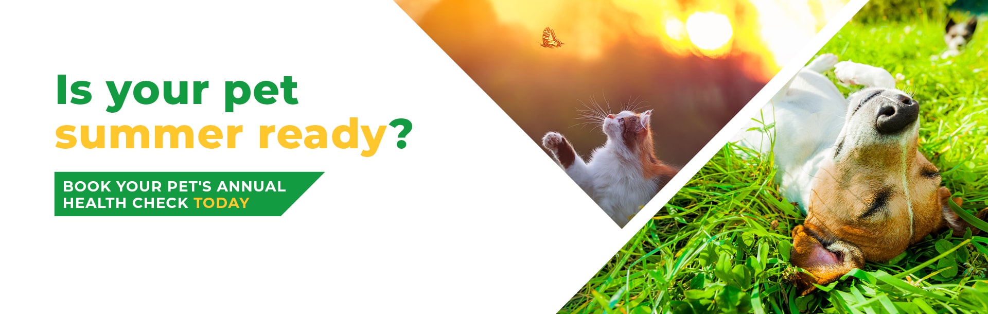Hawick Vets | Small Animal Vet | Farm Vets | Equine Vets