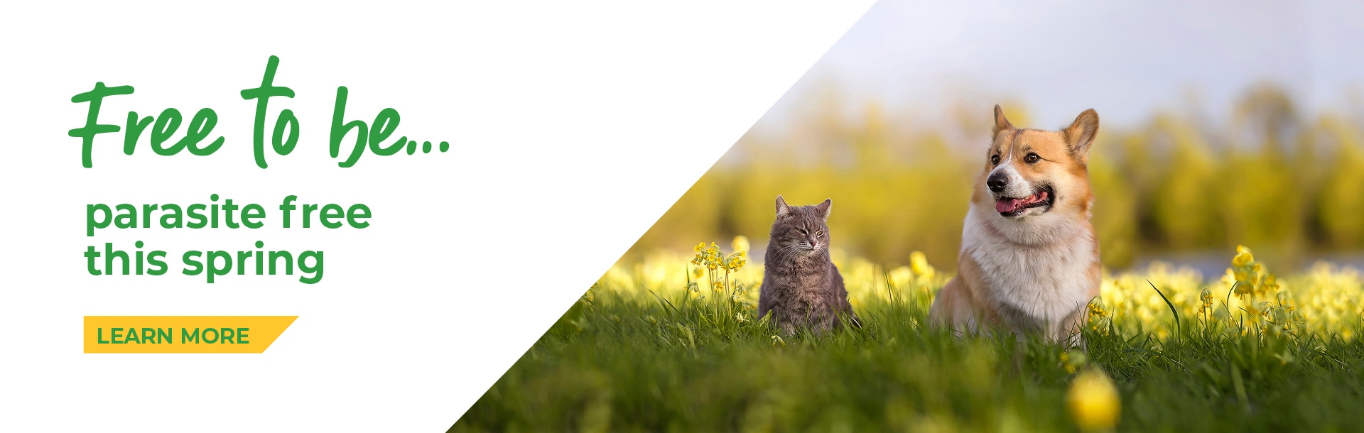 Hawick Vets | Small Animal Vet | Farm Vets | Equine Vets